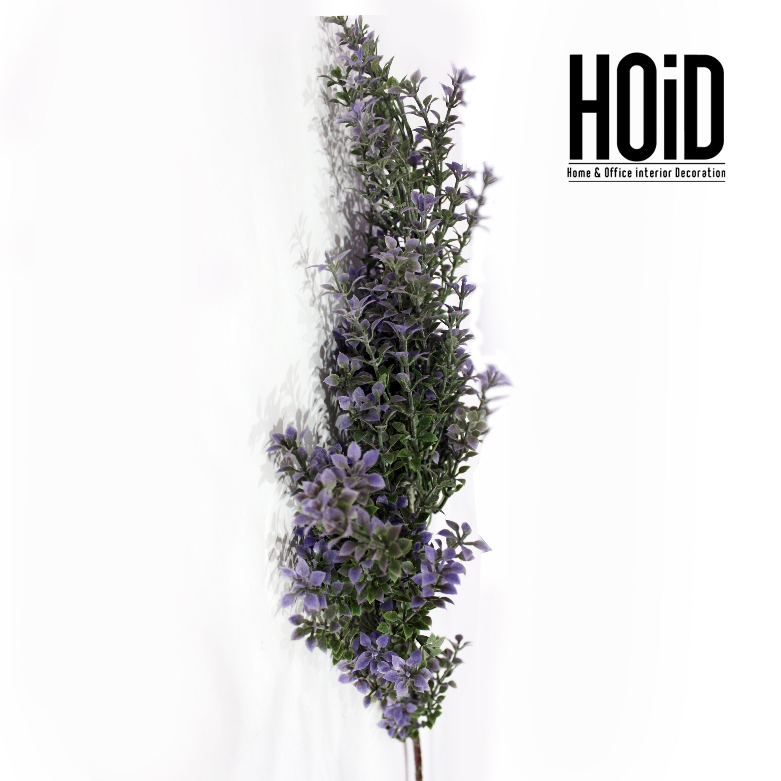 1 Purple Stem - HOiD.pk