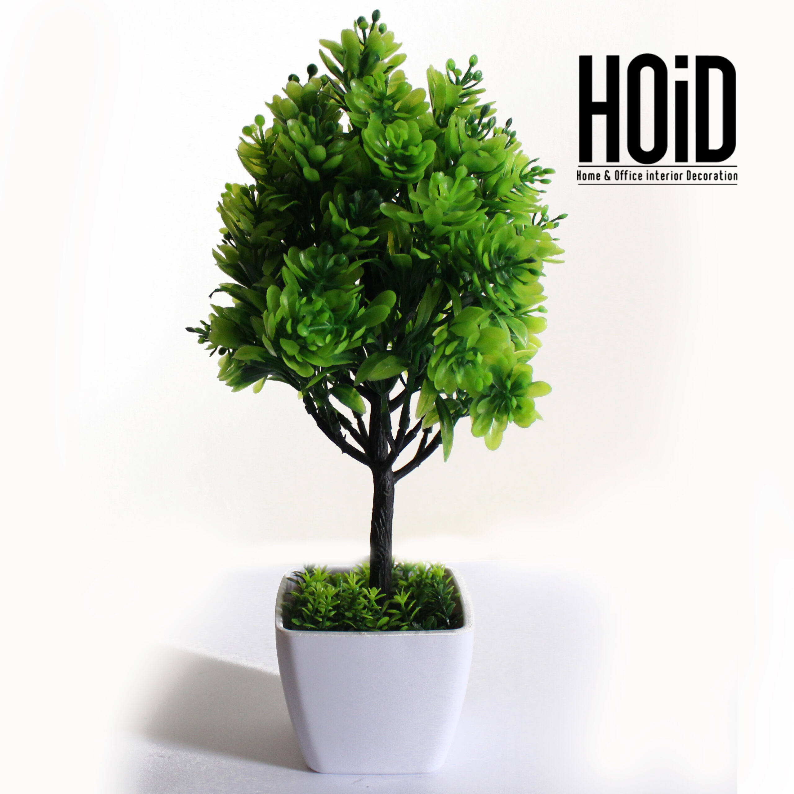 Trump Small Pot – HOiD.pk